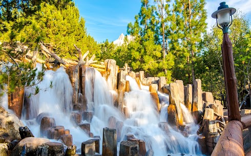 Disney Photoblography