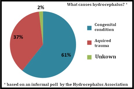 Run Carla Run Project: Getting to know...Hydrocephalus (part 1)
