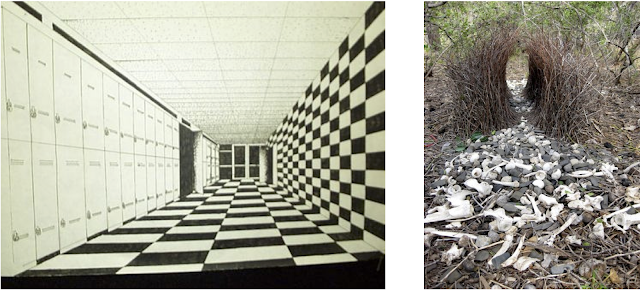 Monocular cues for depth perception