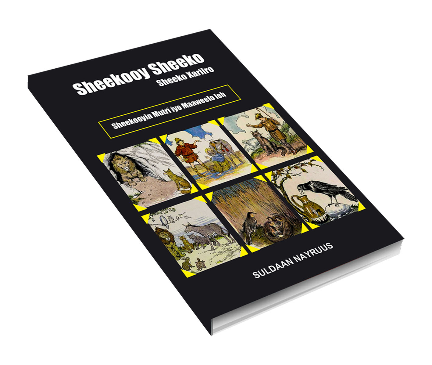 Baloogga Suldaan Nayruus : BUUGGA SHEEKOY SHEEKO SHEEKO XARIIRO