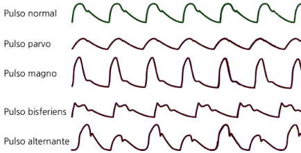 Aprendiendo Medicina