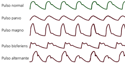 Aprendiendo Medicina