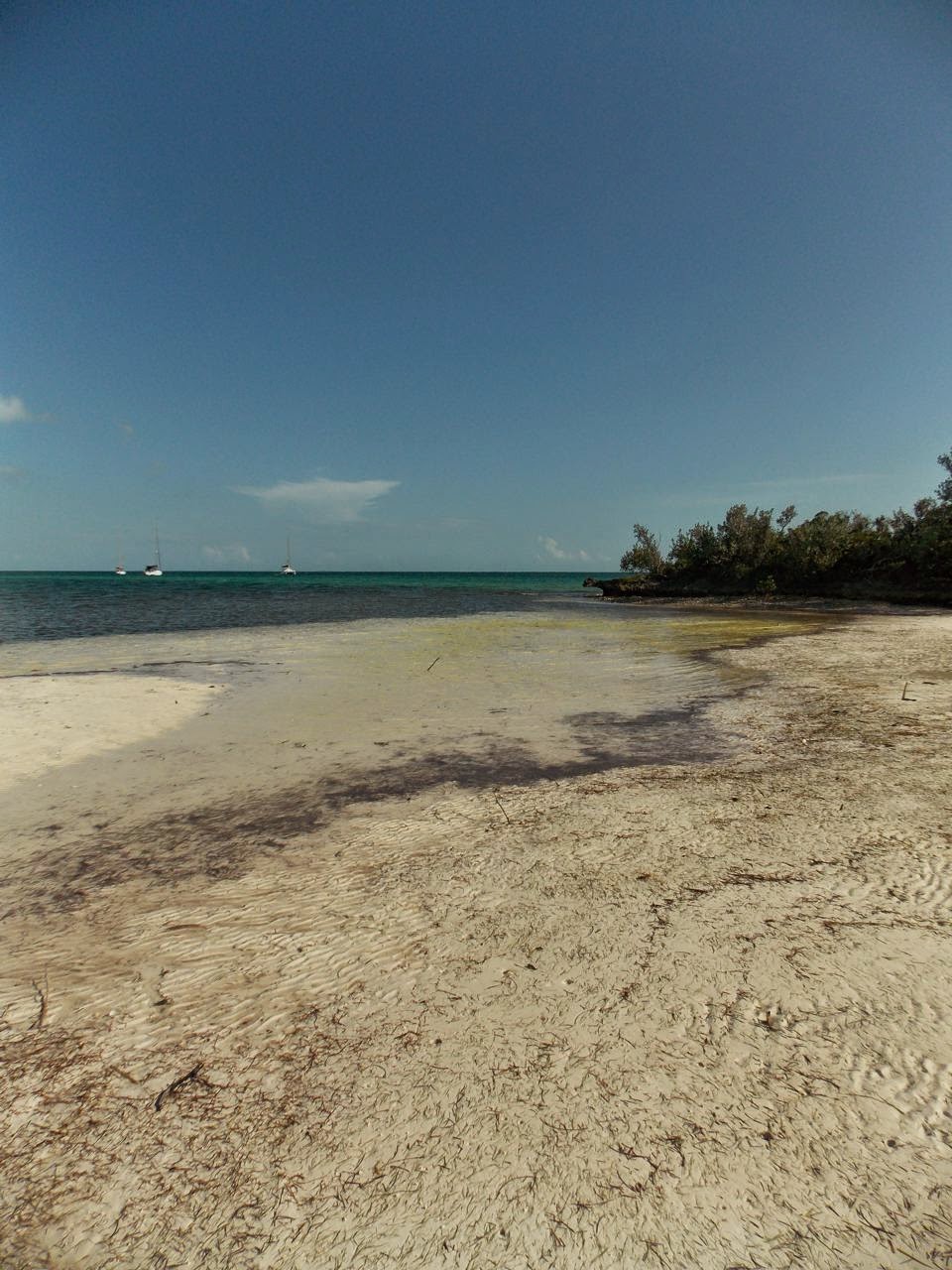 BIG FISH travel: BIG FISH CAY - GREEN TURTLE CAY