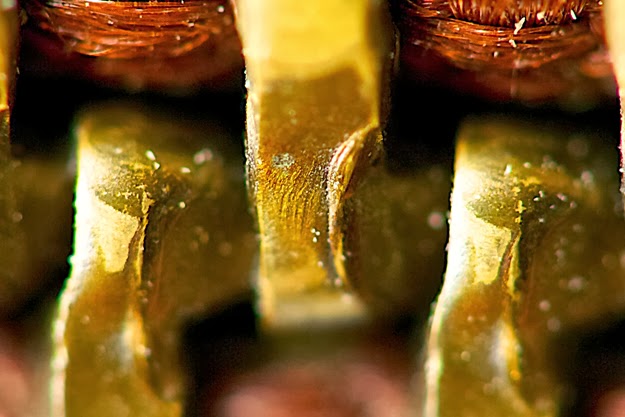 Trying Out Extreme Macro Photography Using Still Life Object - Jefz Lim ...