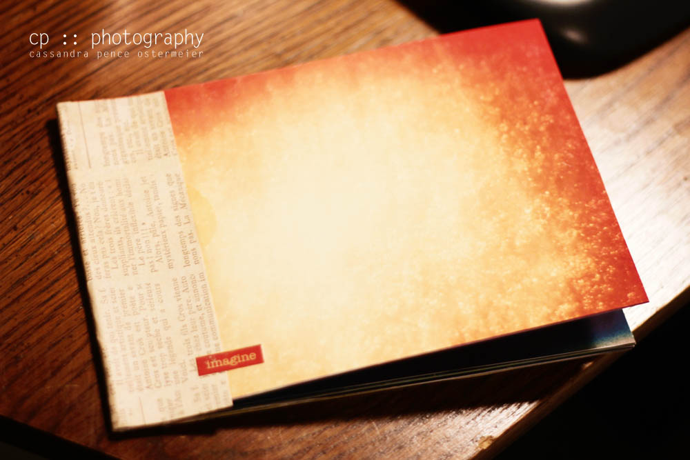 sassafras: book binding :: project idea