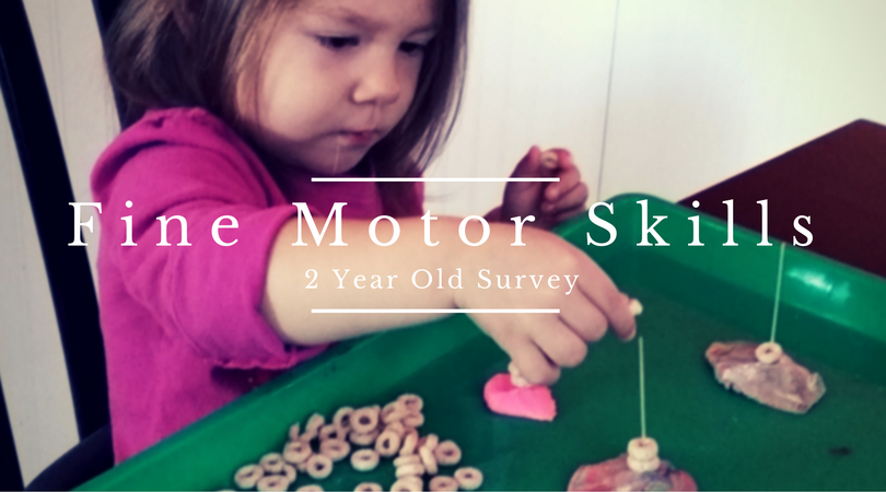 Fine Motor Skills- 2 Year Old Survey - Mama's Organized Chaos