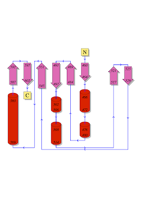 CCP4 Bulletin Board Archive: software to generate protein topology ...