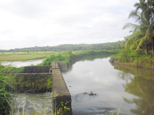 എയ്യാല്‍: Ona Kaalam