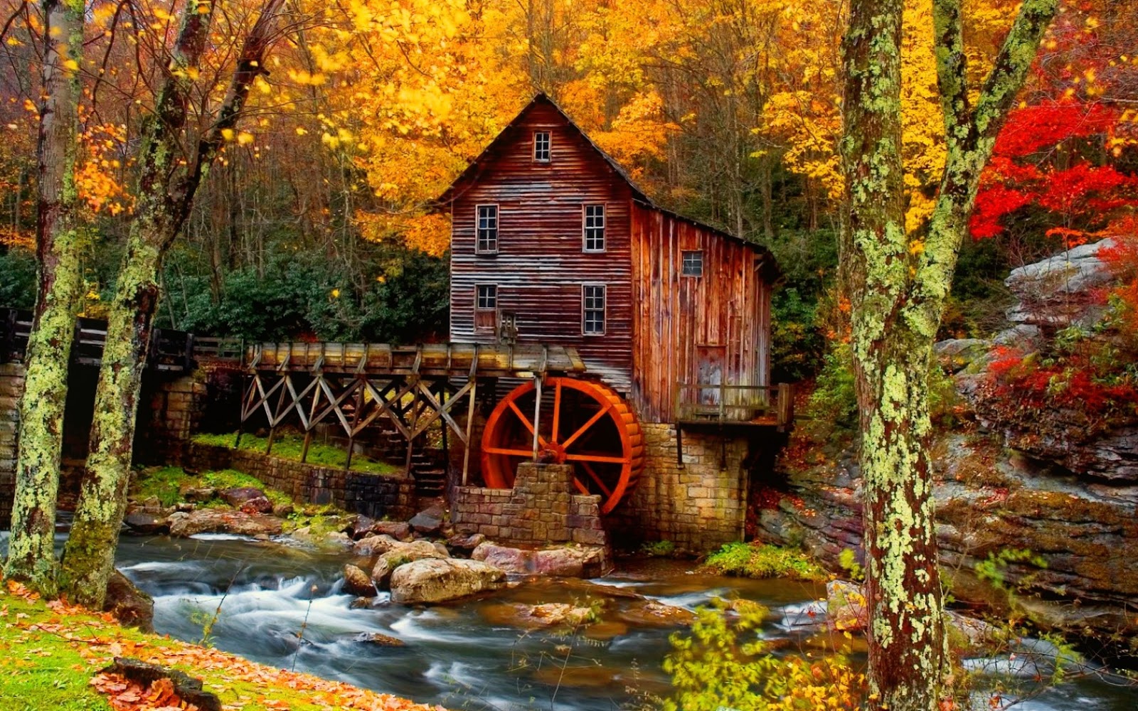 Moara - Peisaj de Toamna | Poze Super Misto