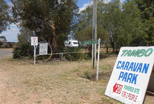 ADVENTURES IN OZ with WOK 'n WOBYN: TAMBO