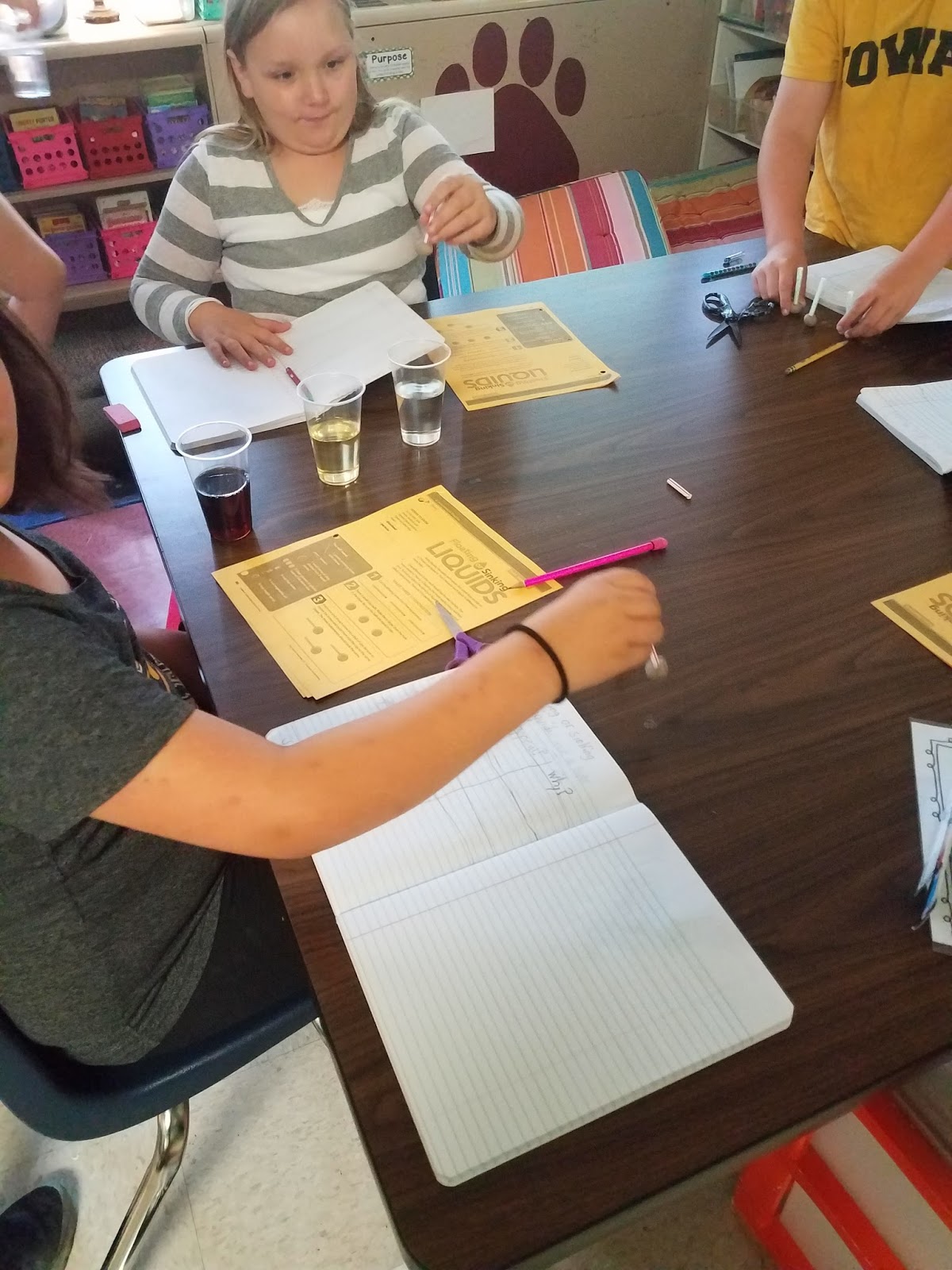 Mrs. Hoyer's Fourth Grade Blog: 2017