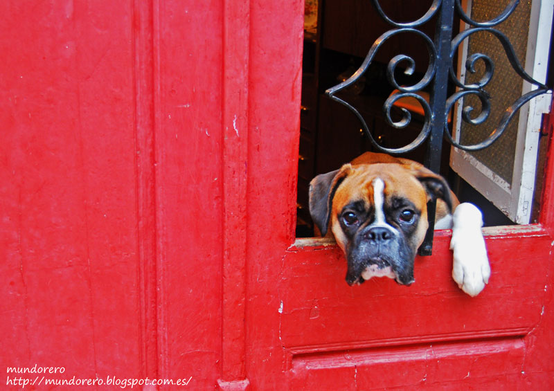 mundorero: enero 2010