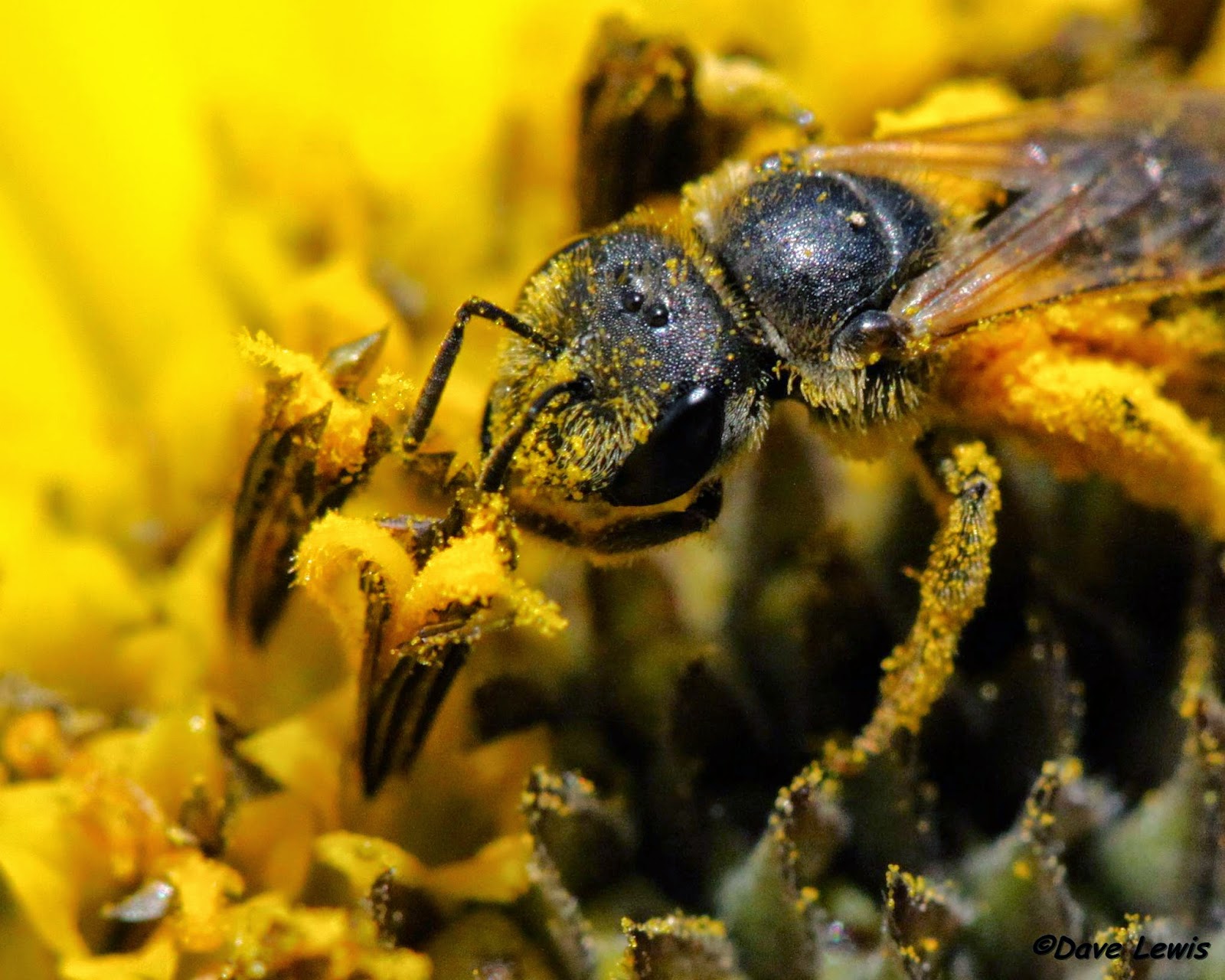 Birds from Behind : 08/01/2014 - 09/01/2014