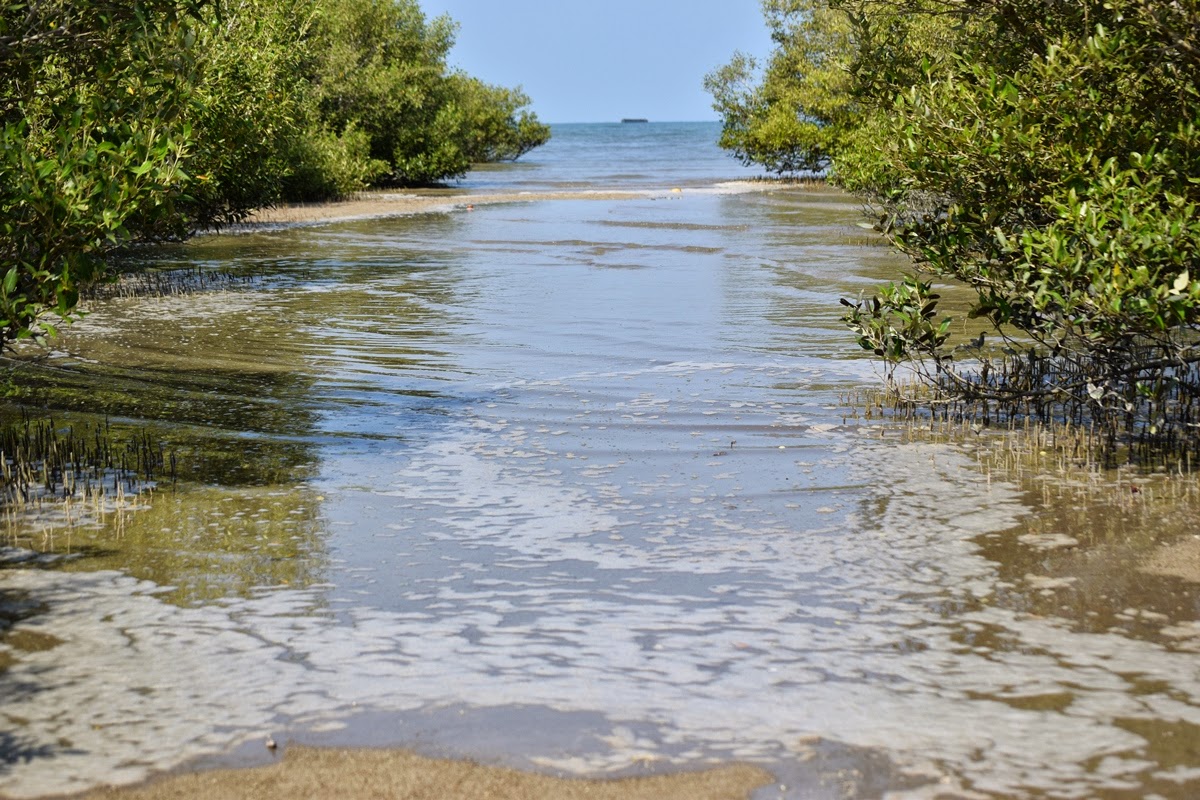 Narara Island : Welcome to Marine National Park