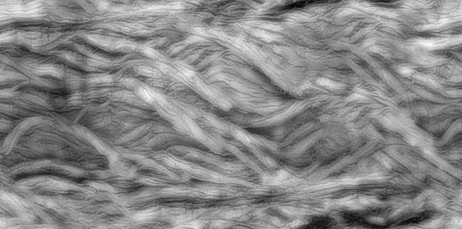 Seamless Tree Bark Texture (2) + (Maps) | Texturise Free Seamless ...