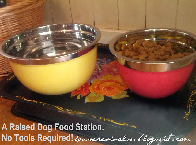 Here is our incredible flying superdog. Isn't he beautiful? I loved the ...