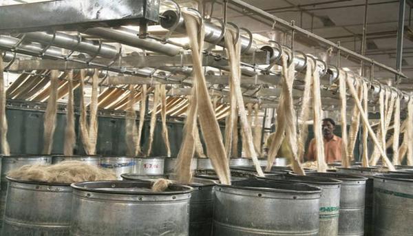 Jute Manufacturing Process