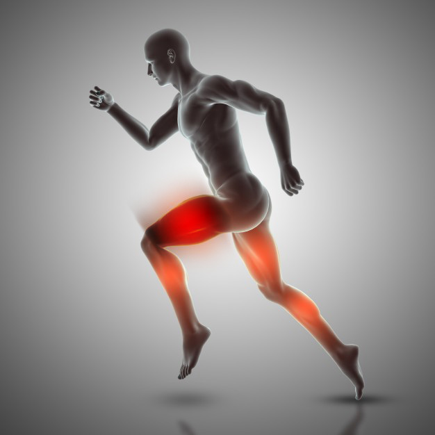 Muscle Fasciculation Improvement With Dietary Change: Gluten Neuropathy