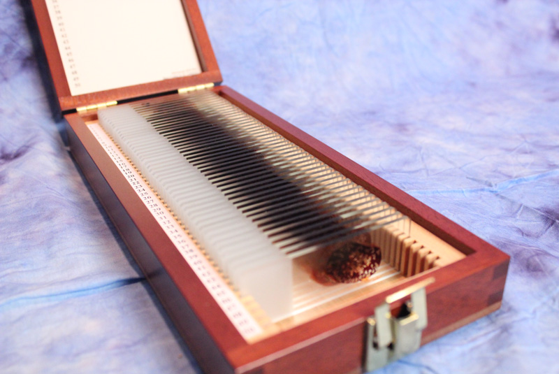 The Project Workbench: Dexter props - Kill Knife, Blood Slide Box, ID ...