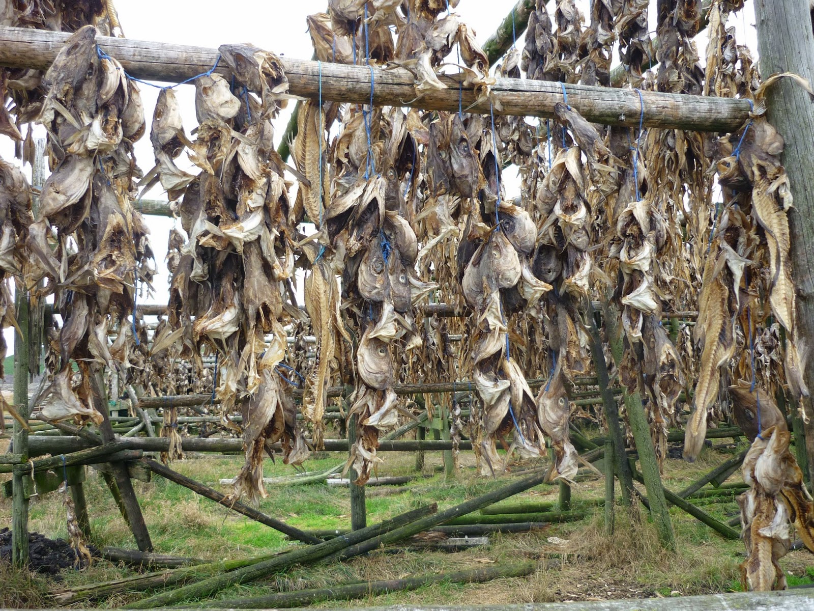 Island-Fan Kochbuch: Harðfiskur