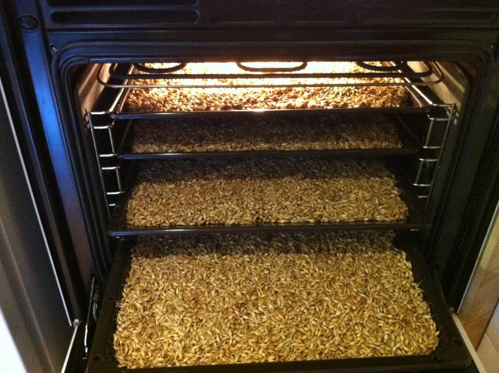 Quiero ser un Homebrewer: Malteado de la cebada