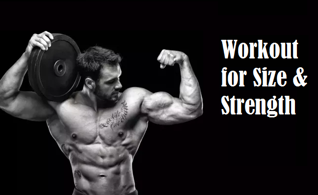 Muscle Palace: Workout for Strength and Size - Gain Strength and Muscle ...