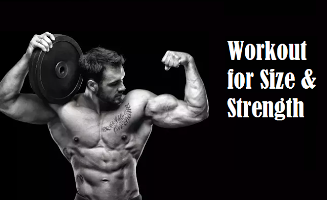 Muscle Palace: Workout for Strength and Size - Gain Strength and Muscle ...