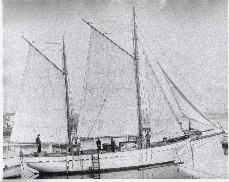 Dawn Reader: RALLY ROUND THE FLAG, BOYS!--Fifty Years Later