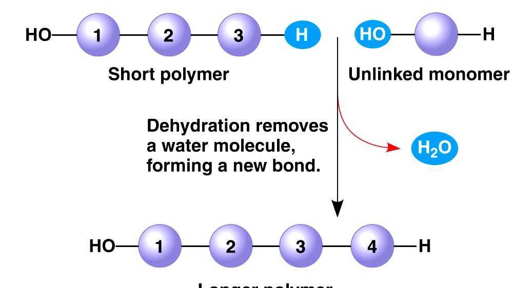 Dehydration reaction