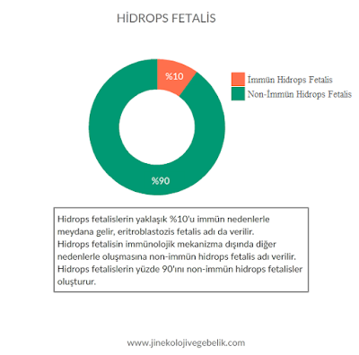 HİDROPS FETALİS