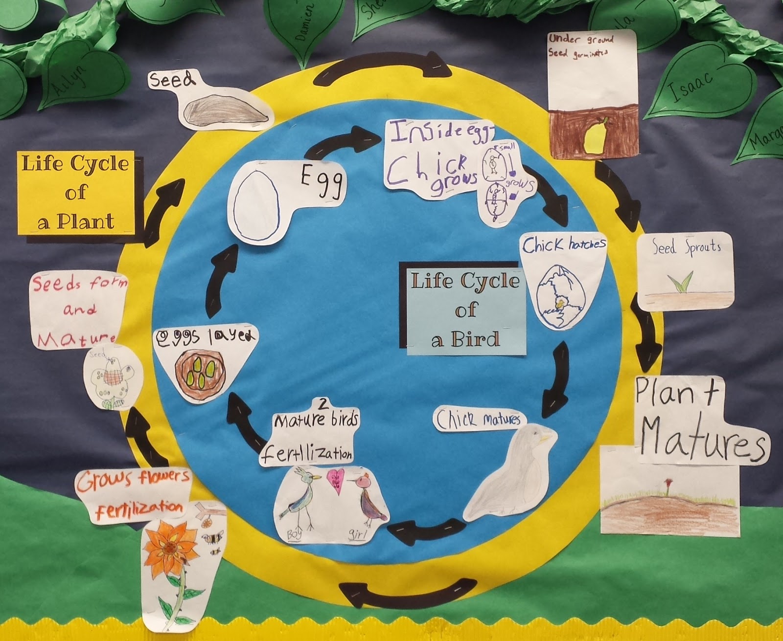 In the classroom with ............... Mrs. Soumokil: Comparing life ...