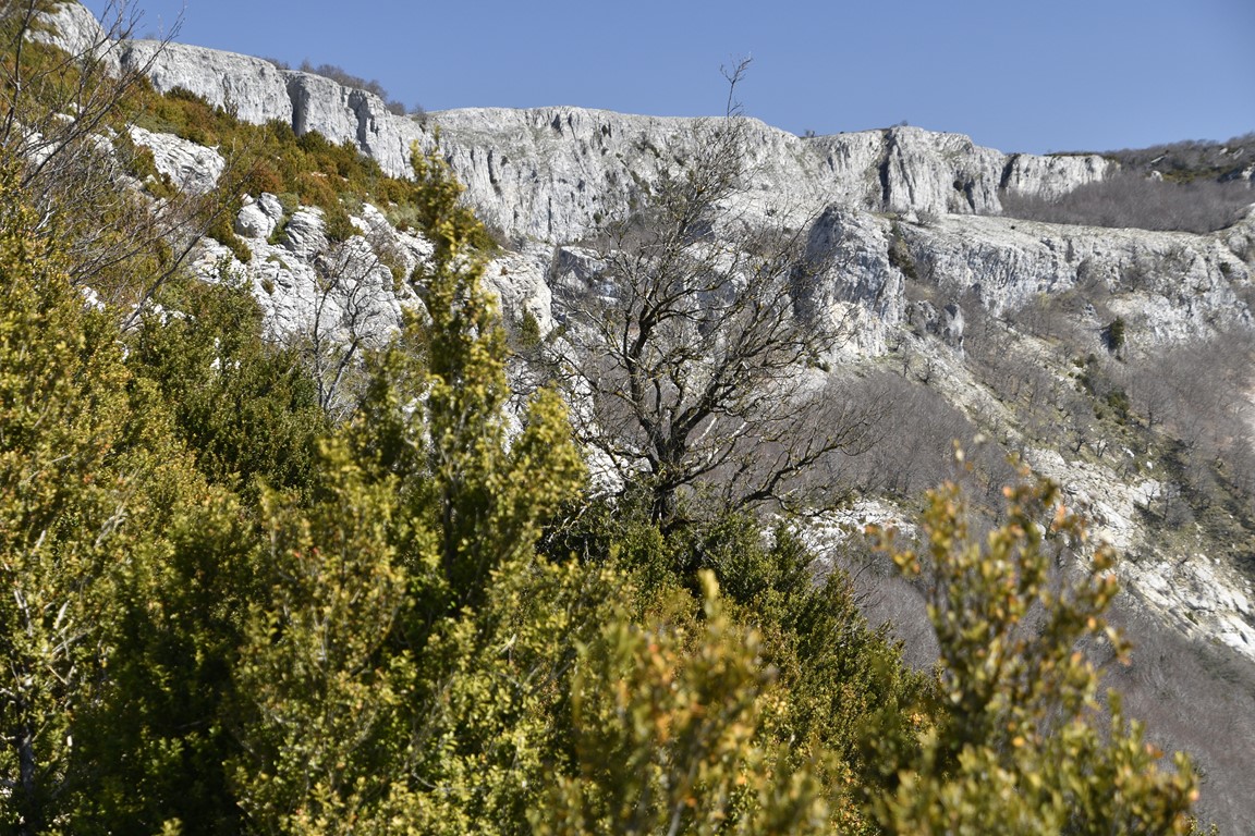 Mendiko osterak: Arnaba zirkularra Gastiain herritik