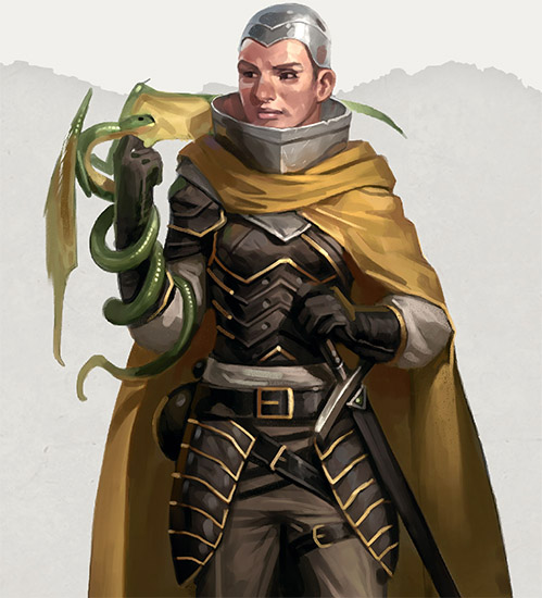 Zhentarim | Fantasy character design, Dungeons and dragons characters ...