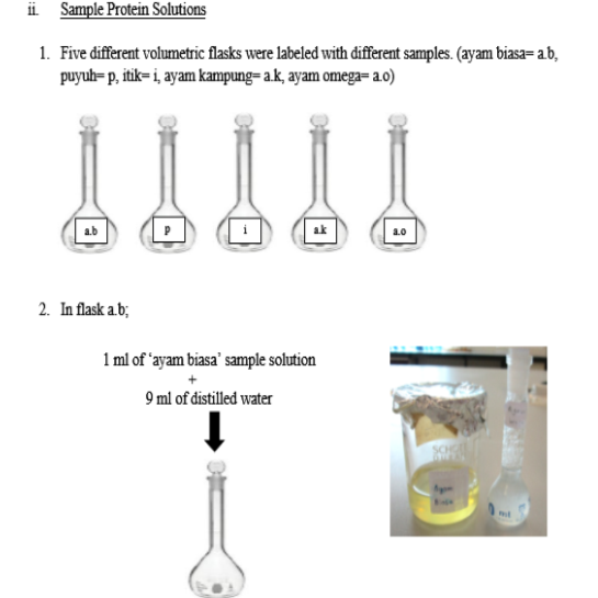 biochemistry: Practical 2 : Protein Experiment