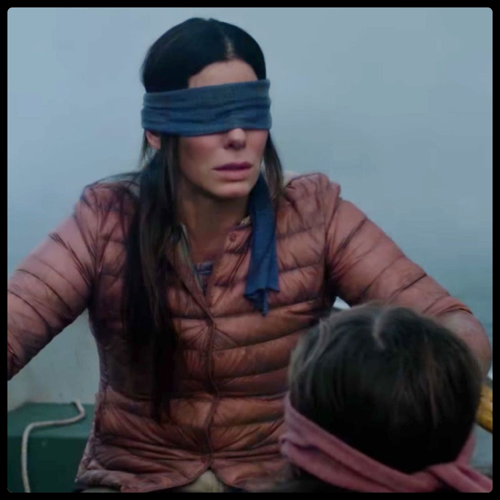 Bird Box-Netflix-Film Tavsiyesi