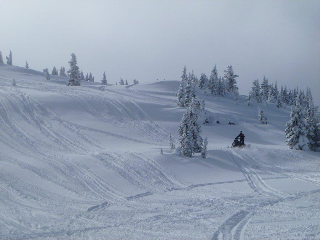 Interlakes Snowmobile Club: Big Timothy Mountain - Feb 20th
