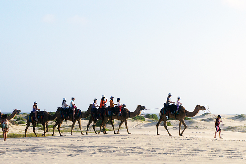 Anna Bay Attractions ~ Dollymic