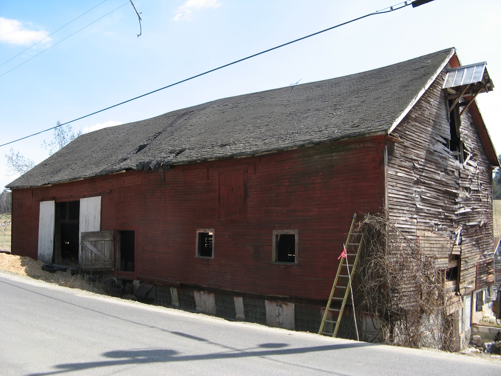 Animal Instinct: Coop d' Barn