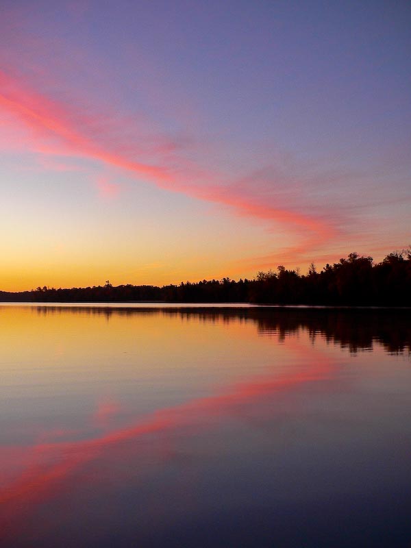 Art Now and Then: The Ultimate Artist