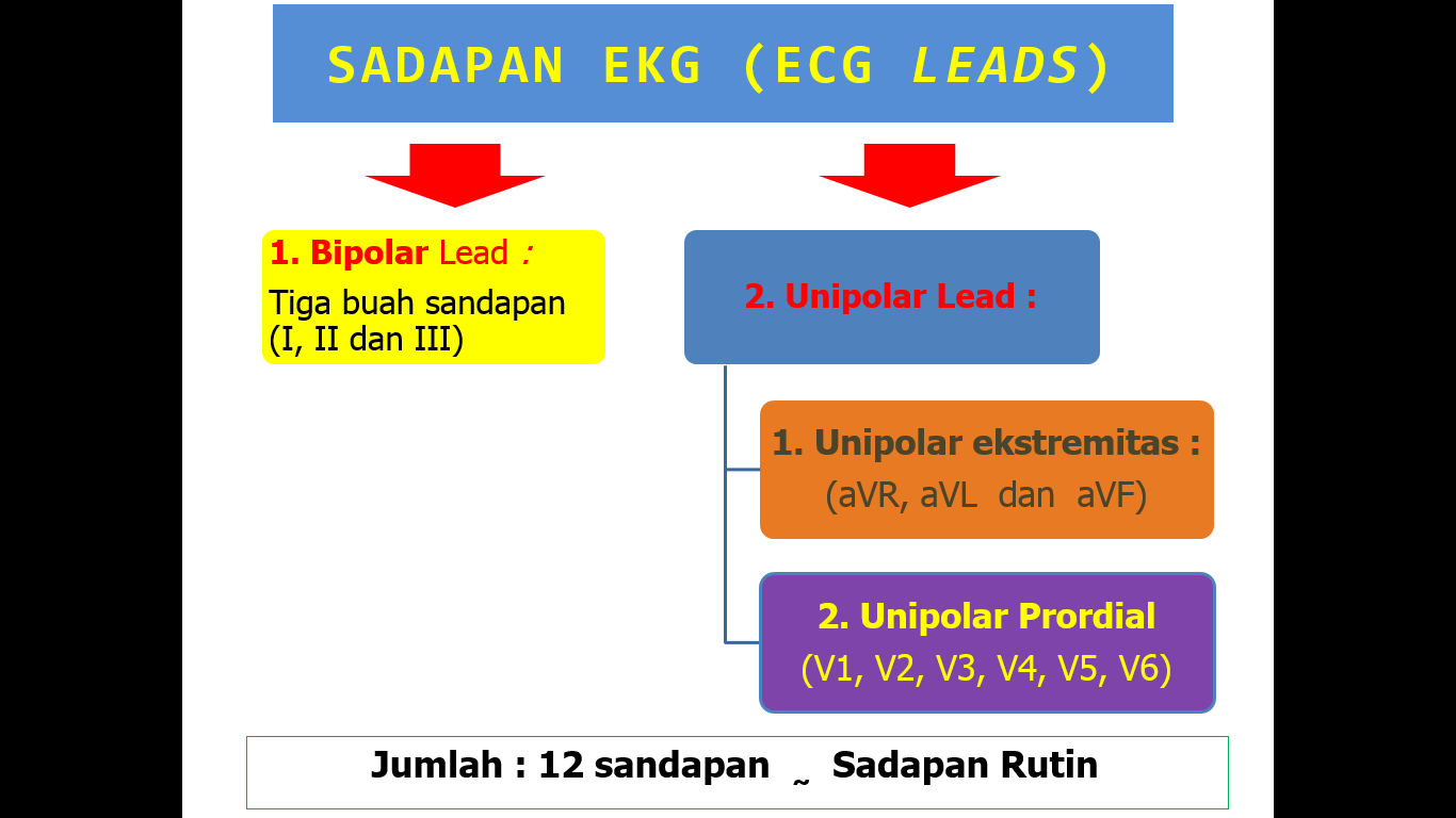 SAYANGI JANTUNG KITA: SADAPAN ECG, EKG