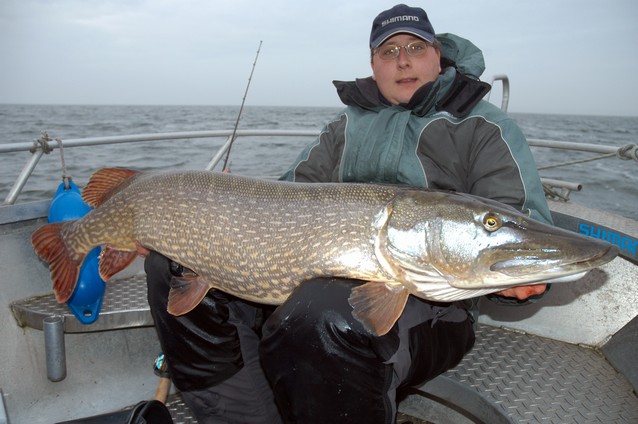 Big Fishes of the World: PIKE NORTHERN (Esox lucius)