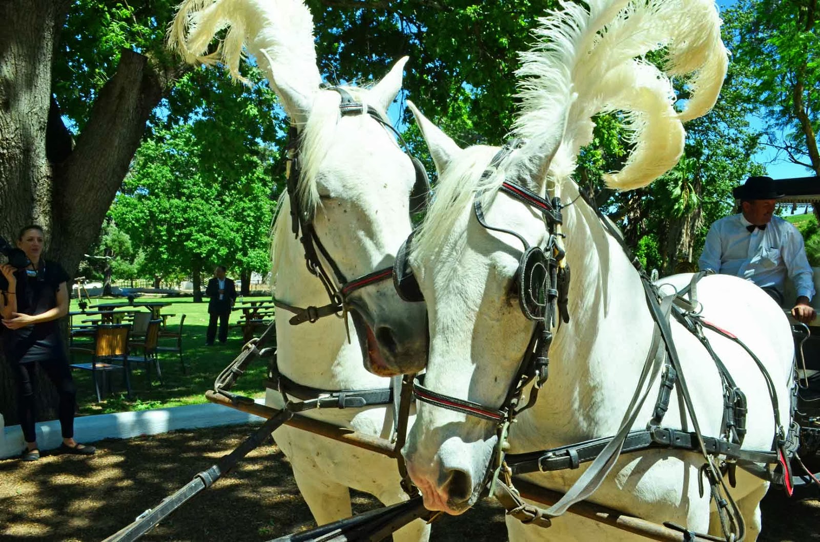 .: Uitkyk launches their new MCC