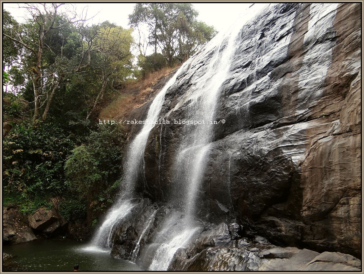 The Voice of Greenery - Trekking and Travelling in Western Ghats ...