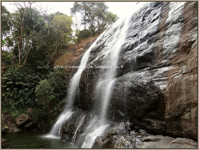 The Voice of Greenery - Trekking and Travelling in Western Ghats ...