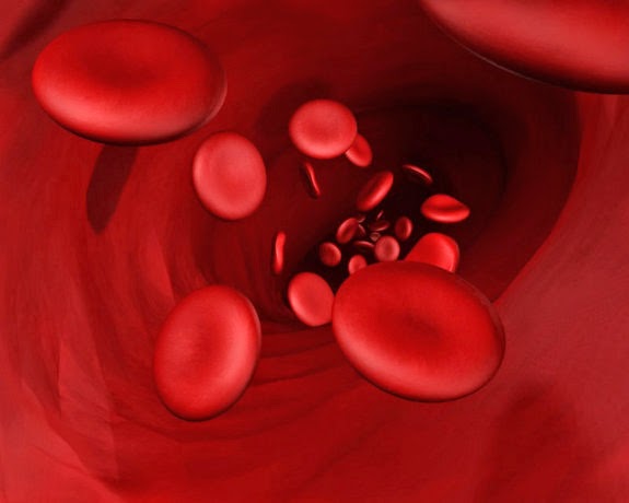 Se o sangue é vermelho por que as veias são azuis? - Mistérios do Universo