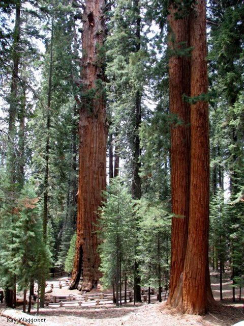 THE VIEW FROM MY CAMERA: May 2013