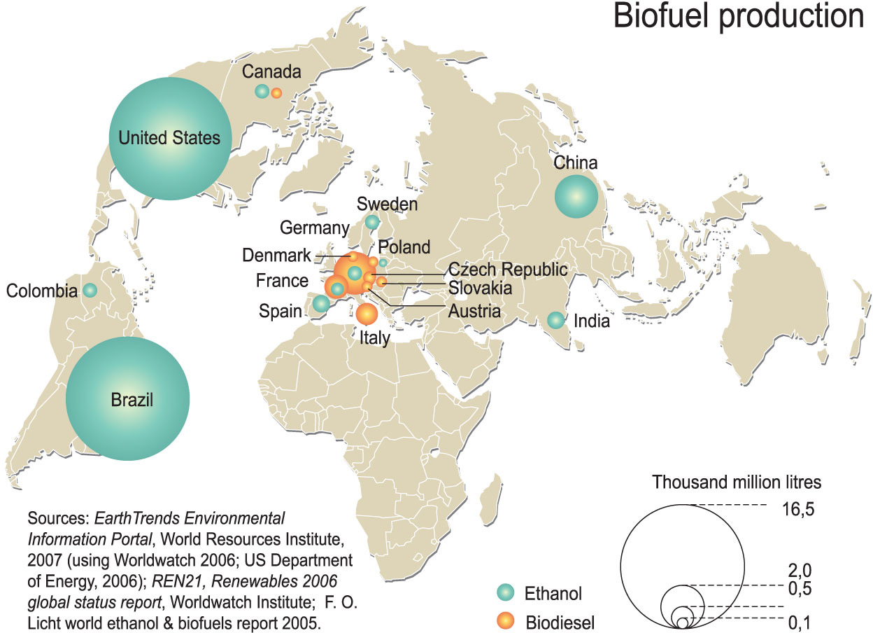 All about Palm Oil: Sustainable Biofuels