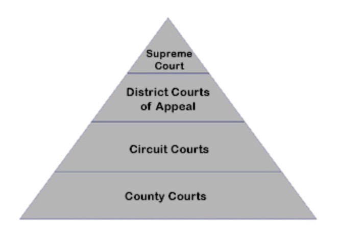 Voting for Judges: Where to Begin? - Sparker's Soapbox