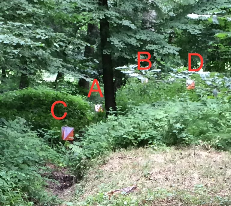 USA Trail Orienteering: Punch Routine