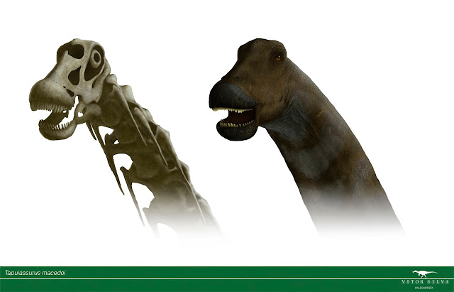 Vitor Silva - Paleoartista: Tapuiasaurus